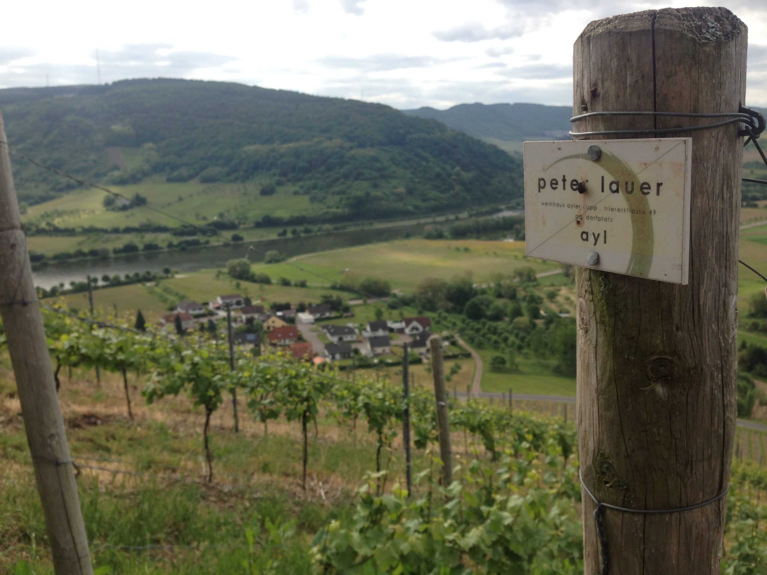 Florian Lauer answers your questions: Part 1vBTV - VomBoden