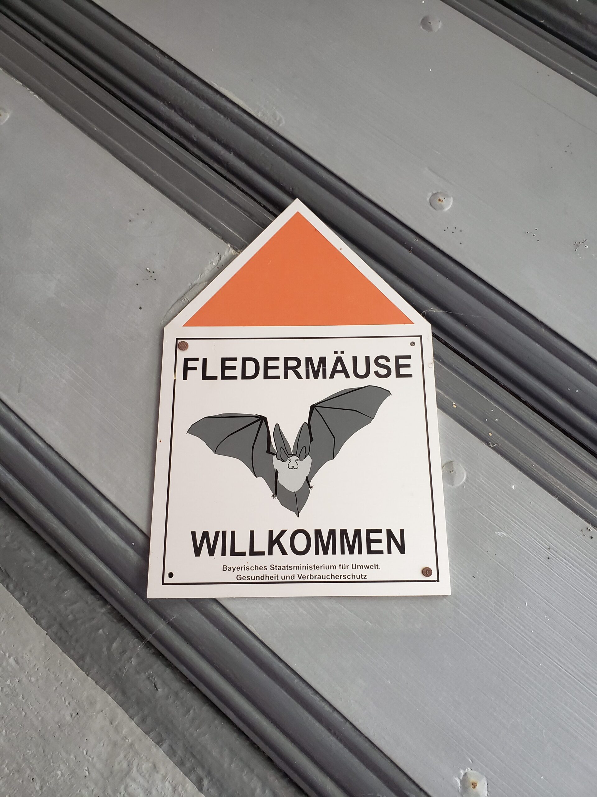 Germany 2021: what’s old is new - VomBoden