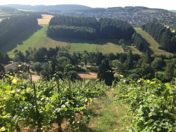 Ruwer - VomBoden : VomBoden